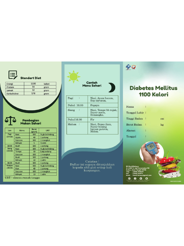 LEAFLET - DM 1100 Kalori - Halaman 1 | PDF