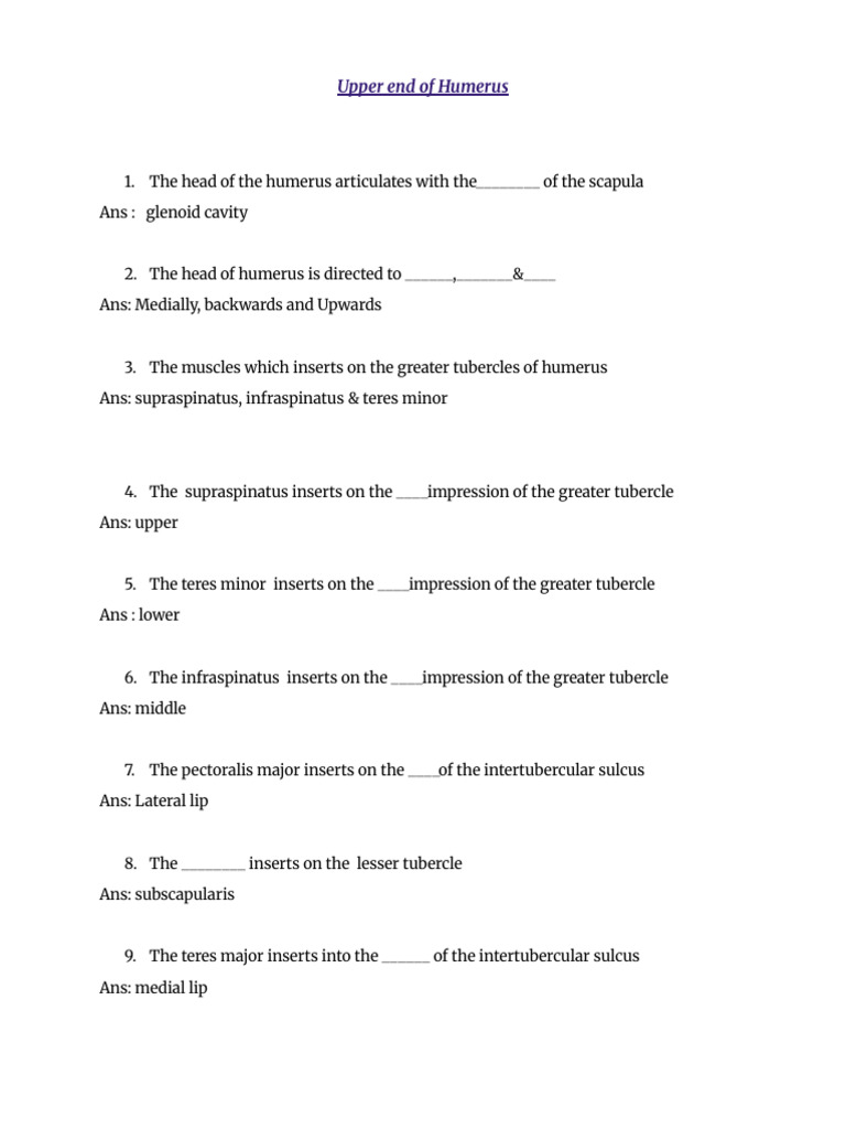 Anatomy of the Humerus Explained | PDF
