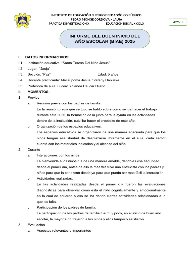 Informe Del Biae | PDF | Educación de la primera infancia