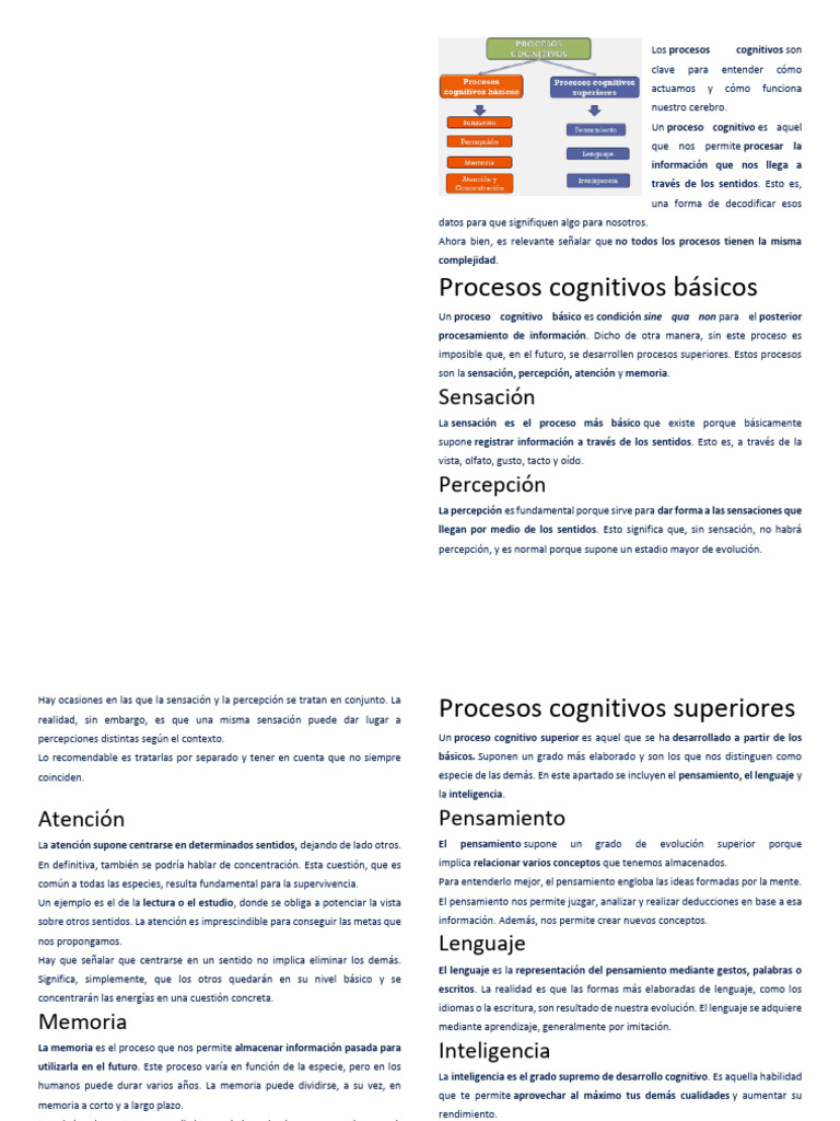 Procesos Cognitivos Basicos y Superiores | PDF | Percepción | Memoria