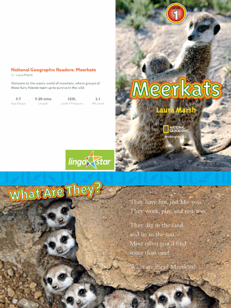 2.1 Meerkats | PDF