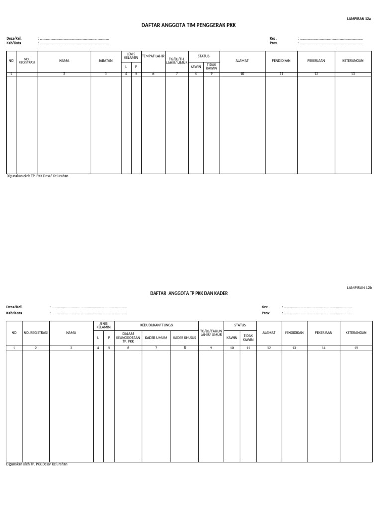 Format Data Umum PKK Terbaru | PDF