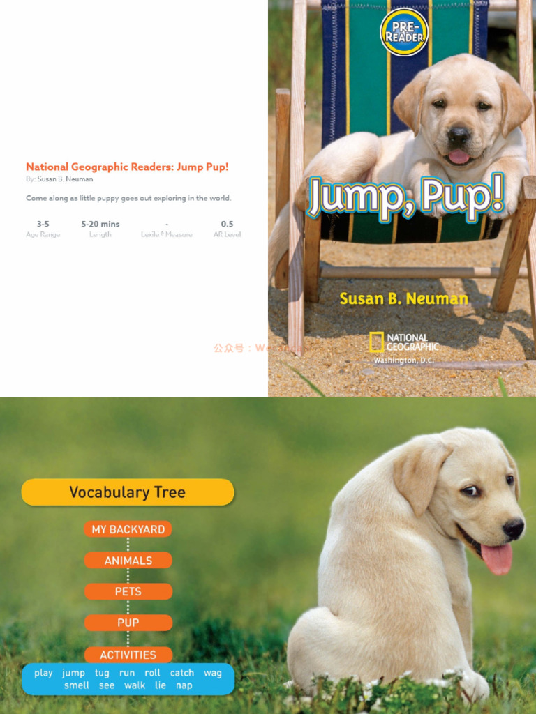 0.5 Jump Pup | PDF
