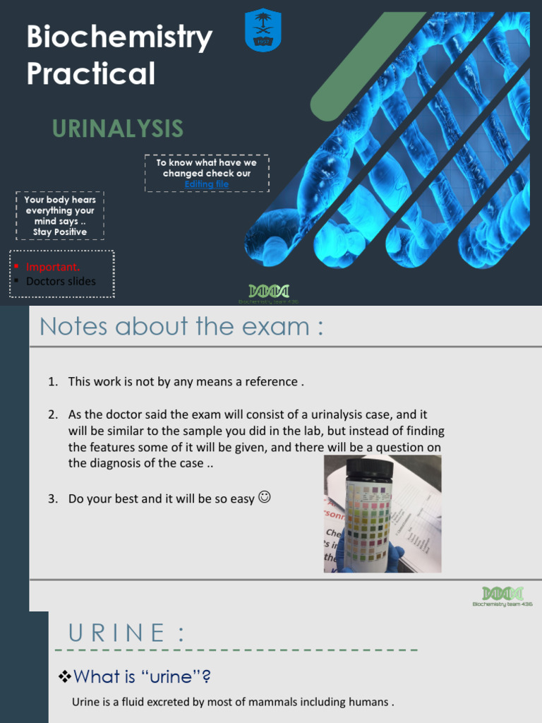 Biochemistry Practical UPDATED | PDF | Urine | Urology