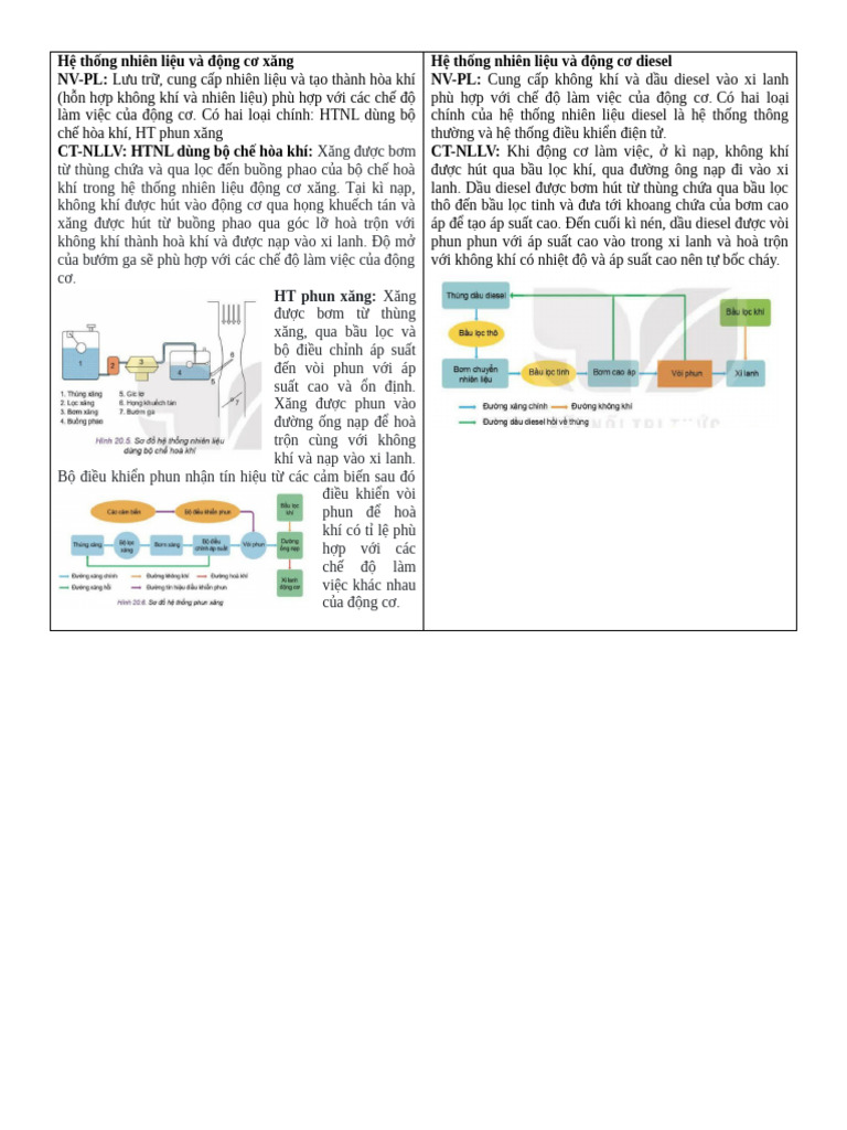công nghệ 11 ôn tập gk 2 | PDF