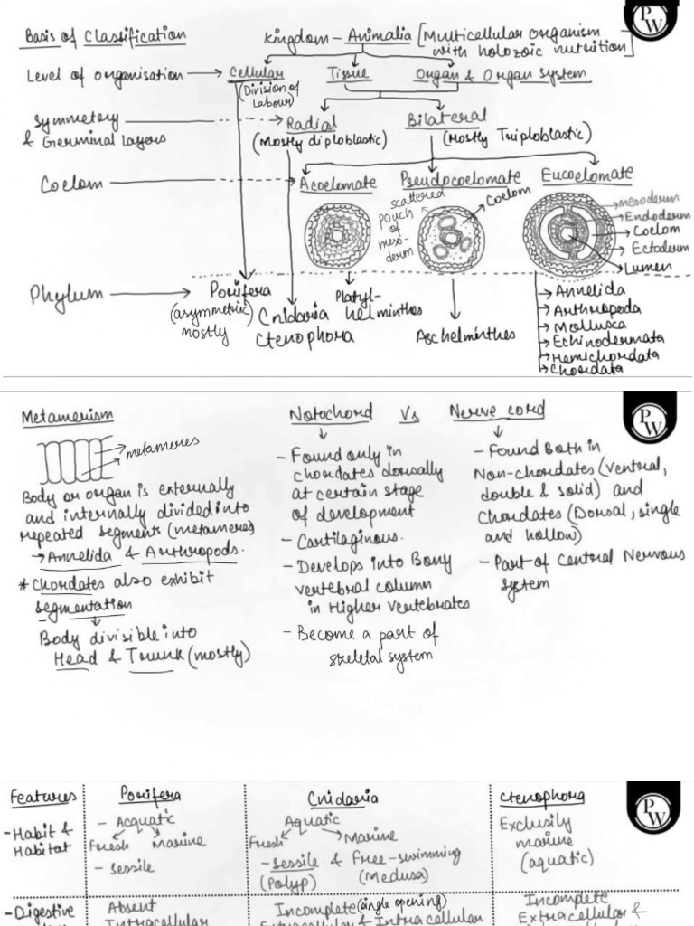 ZOO FINAL Copy-Invert (Grayscale) | PDF