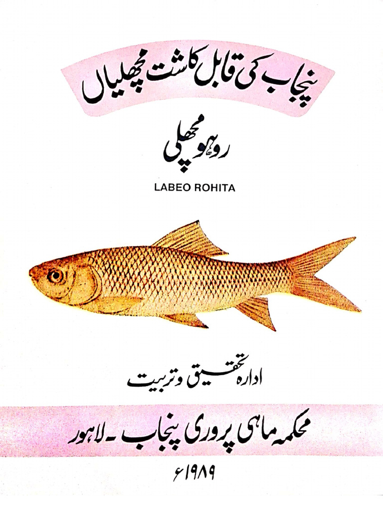 Culturable Fish of Punajb Labeo Rohita | PDF