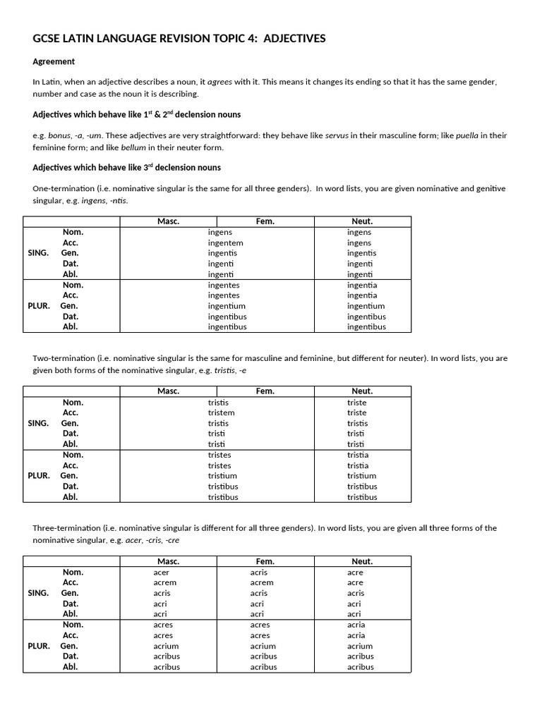 Latin Revision Sheet 4 - Adjectives | PDF | Grammatical Gender ...
