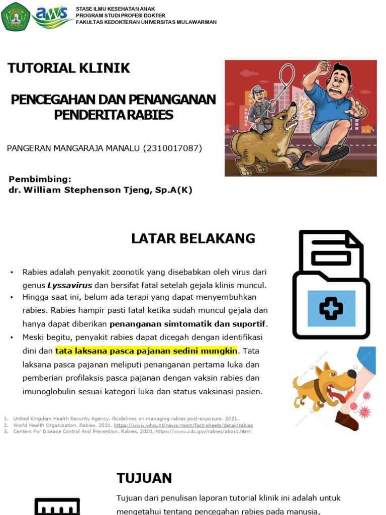 Pencegahan Dan Penanganan Penderita Rabies | PDF