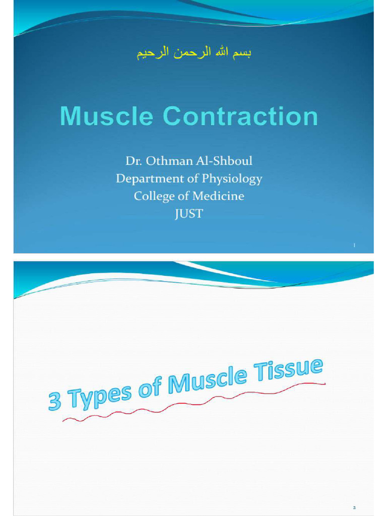 muscle-contraction | PDF
