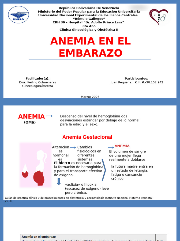 Anemia-En-El-Embarazo JR | PDF | Anemia | El embarazo
