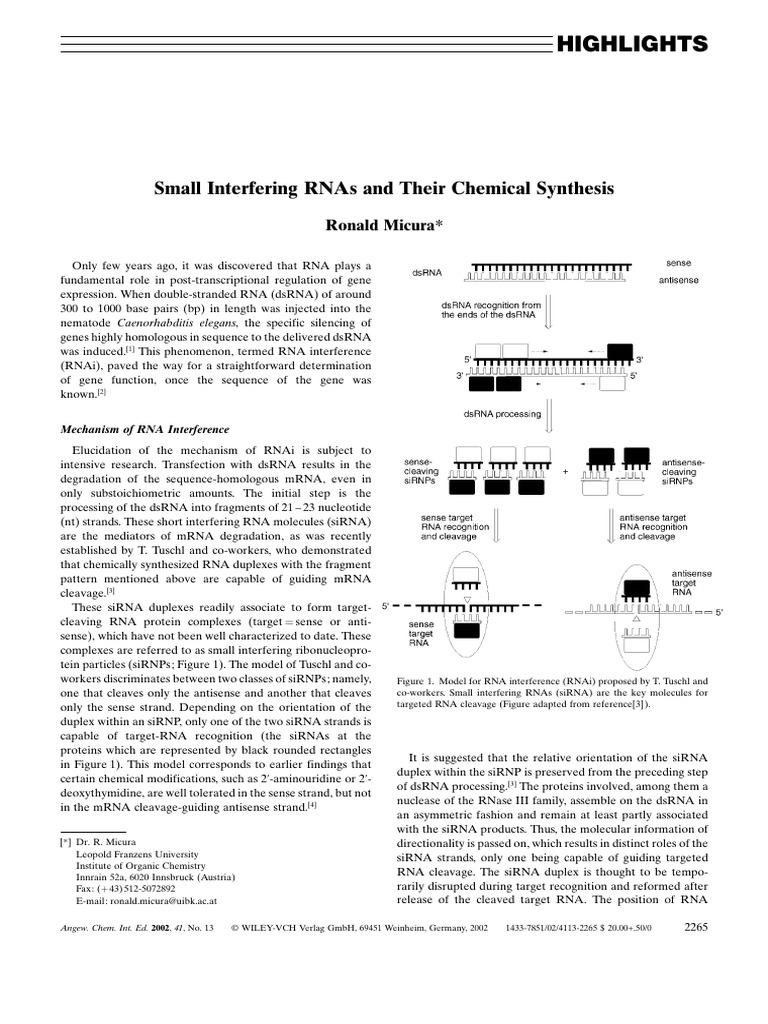 Small Interfering RNAs and Their Chemical Synthesis | PDF | Rna ...