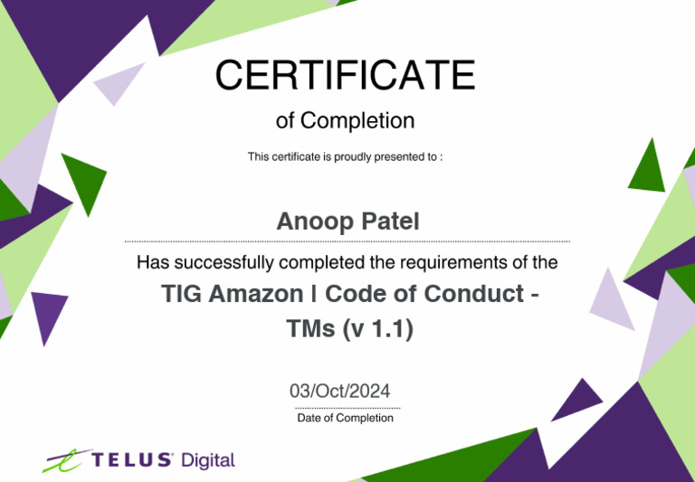 Tig Amazon - Code of Conduct - Tms (V 1 1) 03 10 2024 | PDF