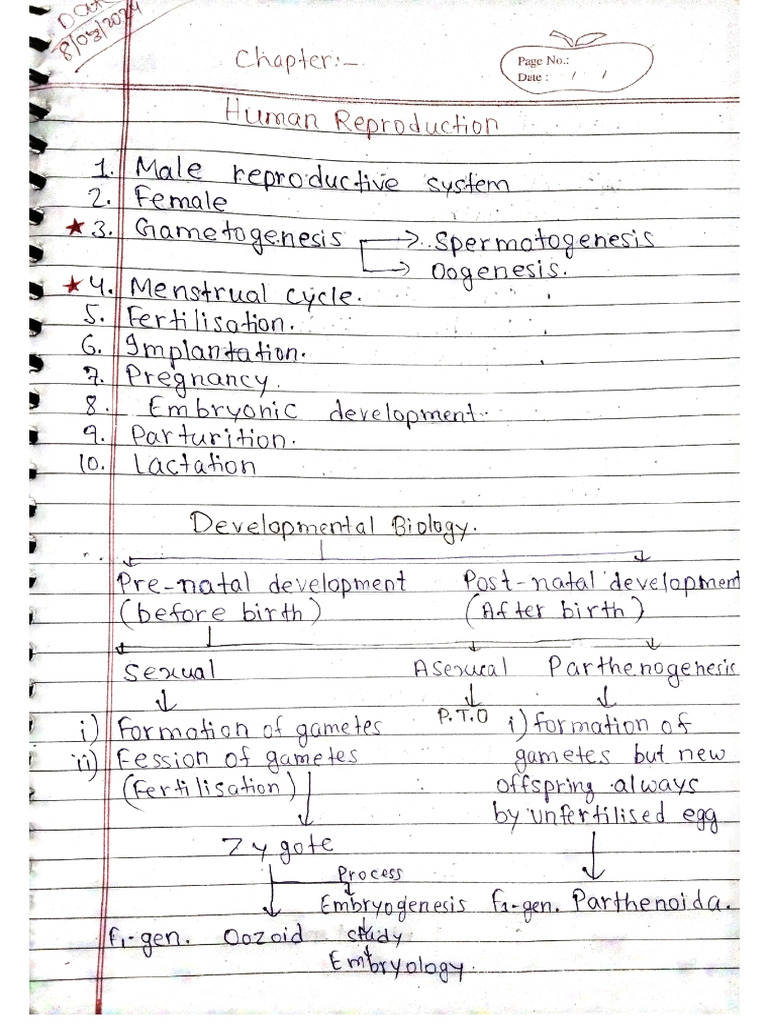 Human Reproduction | PDF