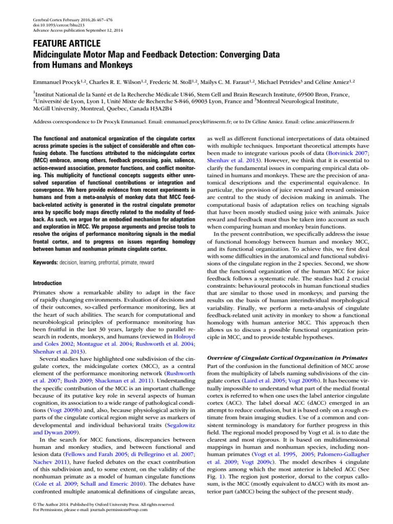 Midcingulate Cortex: Feedback Mechanisms | PDF | Cingulate Cortex ...