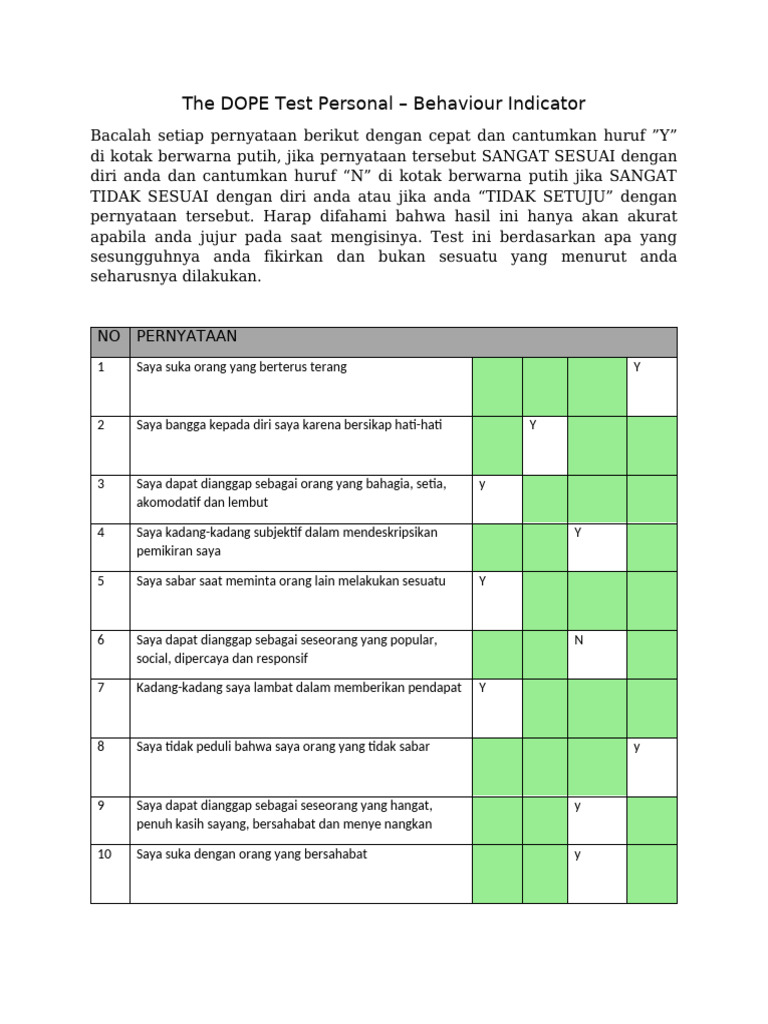 Hasil Tes Kepribadian DOPE | PDF
