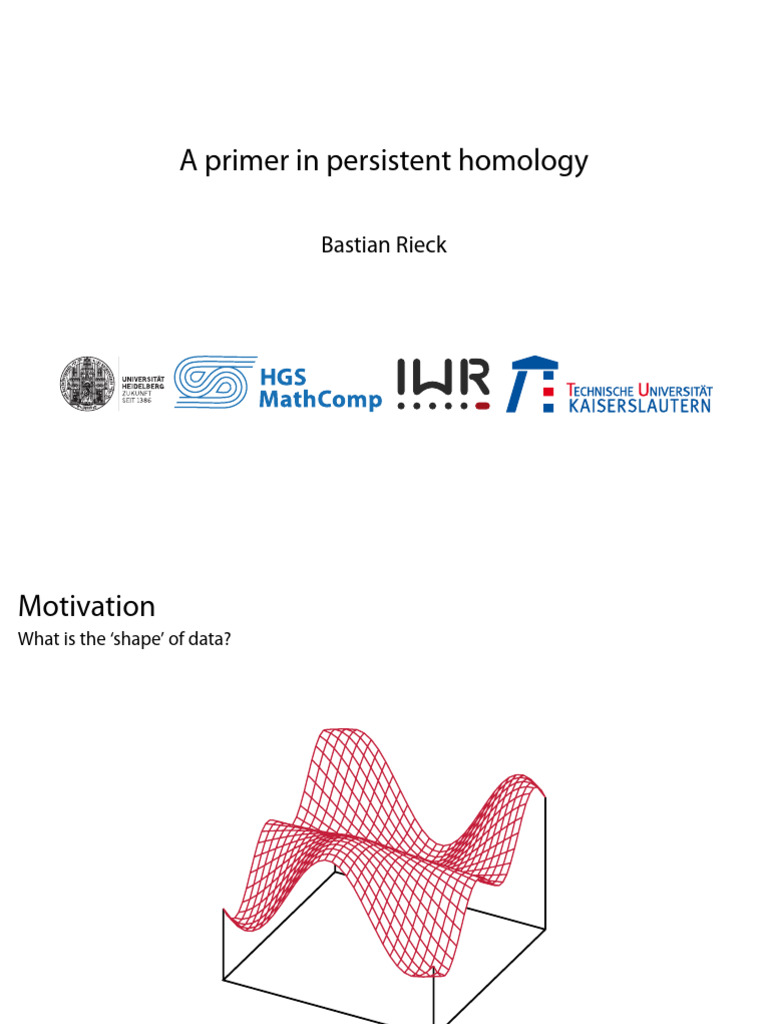 Rieck Primer in Persistent Homology | PDF | Algebraic Topology | Mathematical Objects