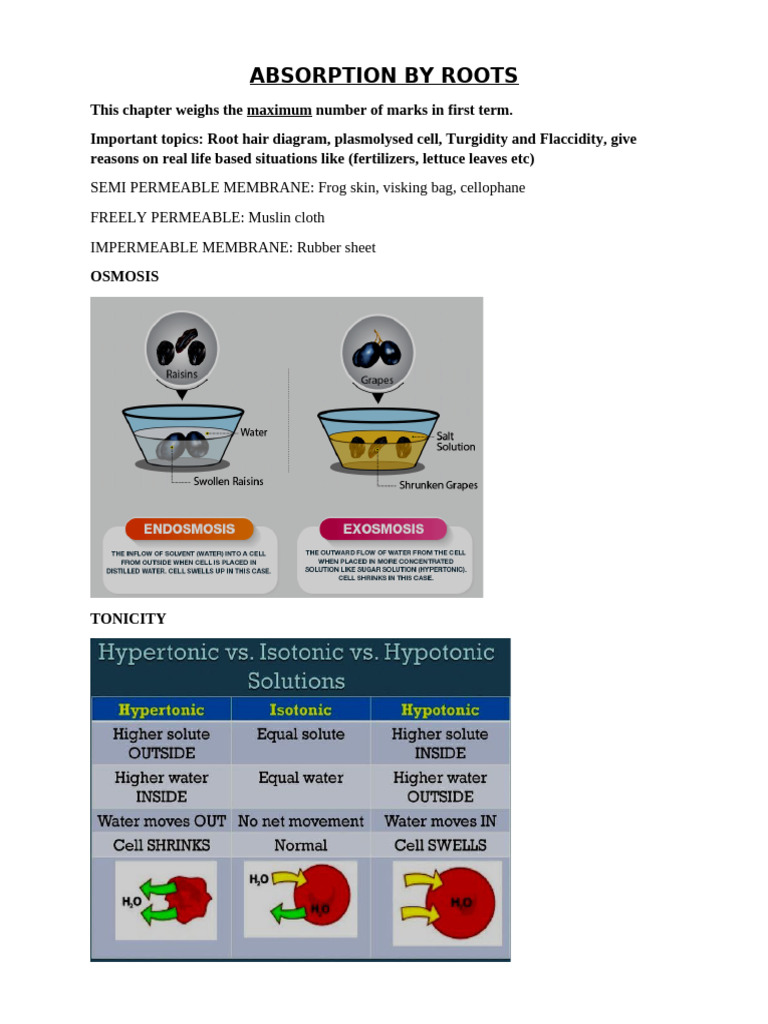 Absorption by Roots | PDF