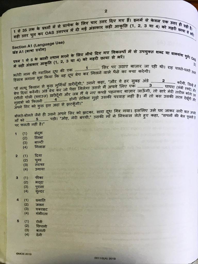Psle 2019 | PDF