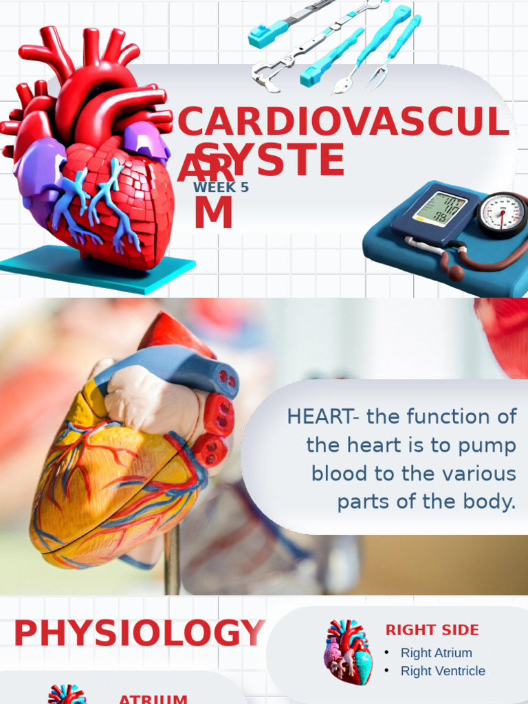 3D Cardiology Center Presentation | PDF | Heart Valve | Heart