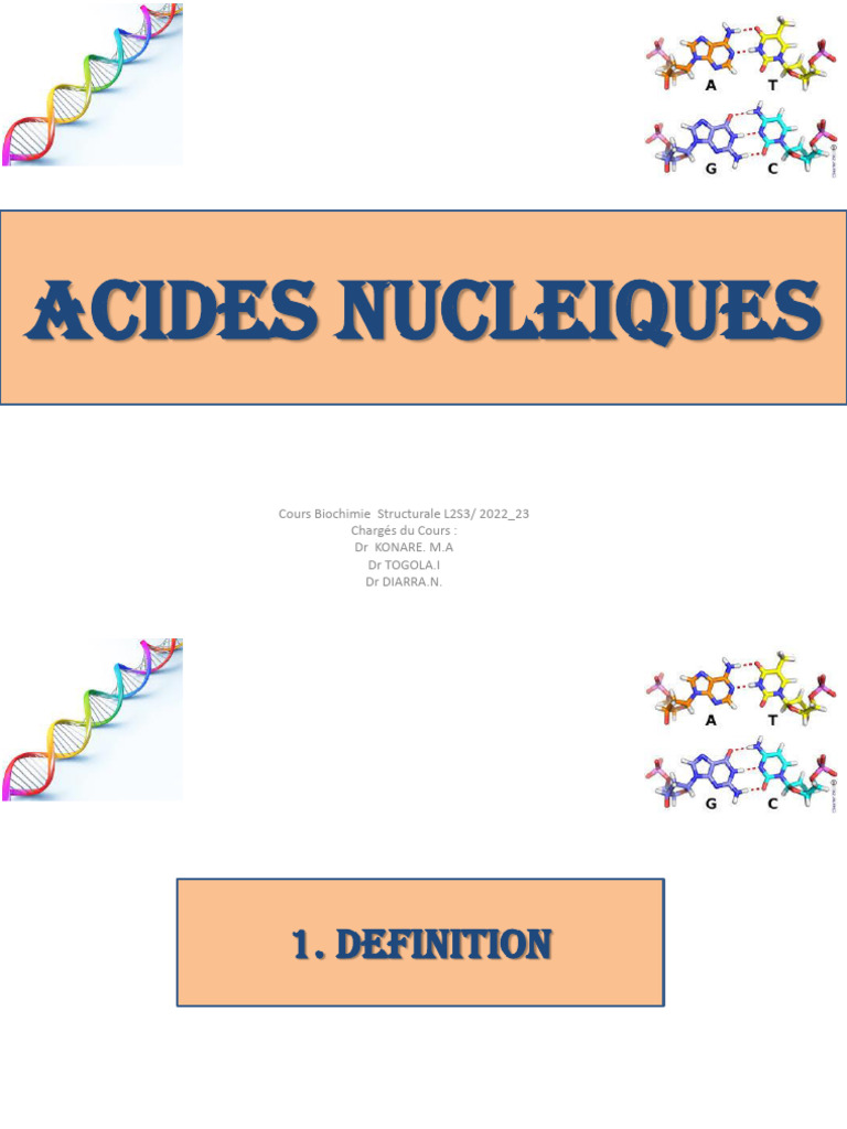 Introduction aux Acides Nucléiques | PDF | Répertoire national des ...
