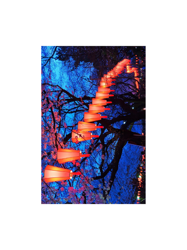 Sakuraaa 20250505 210431 0000 | PDF