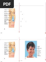 Medical Rebus Puzzles | PDF