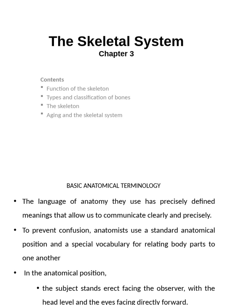 Skeletal System | PDF | Bone | Skull