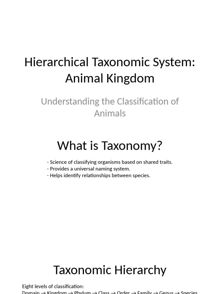 Hierarchical Taxonomy Animal Kingdom | PDF