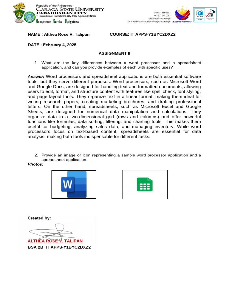 Assignment Template | PDF