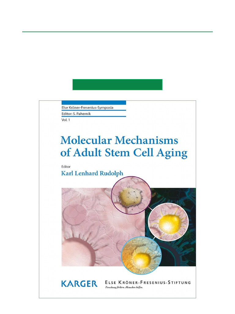 Molecular Mechanisms of Stem Cell Aging | PDF | Stem Cell | Biology