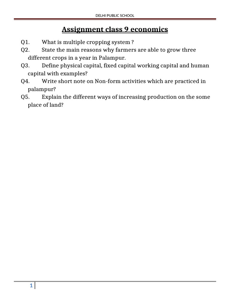 Assignment For Class 9 Economics | PDF