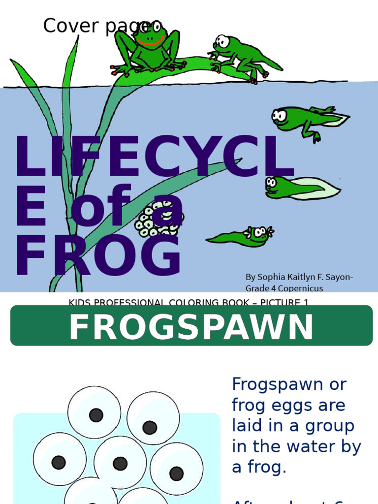Growth Cycle of A Frog Sophia Kaitlyn Sayon | PDF