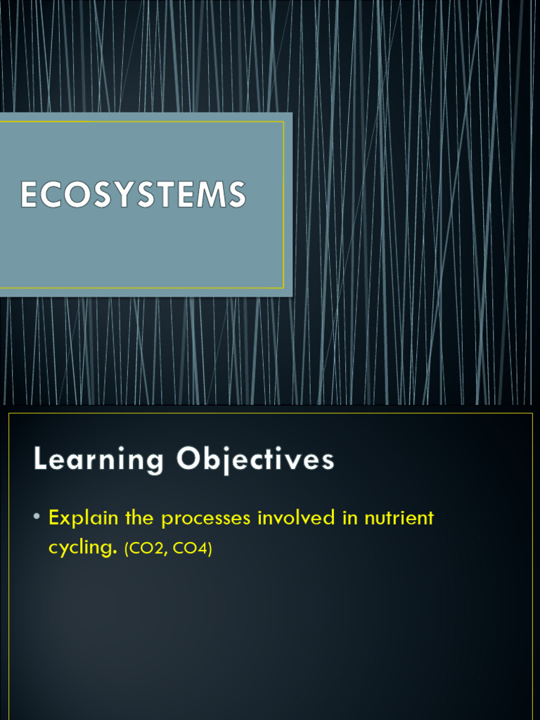 Module 2 Ecosystems Part 2 | PDF | Ecosystem | Soil