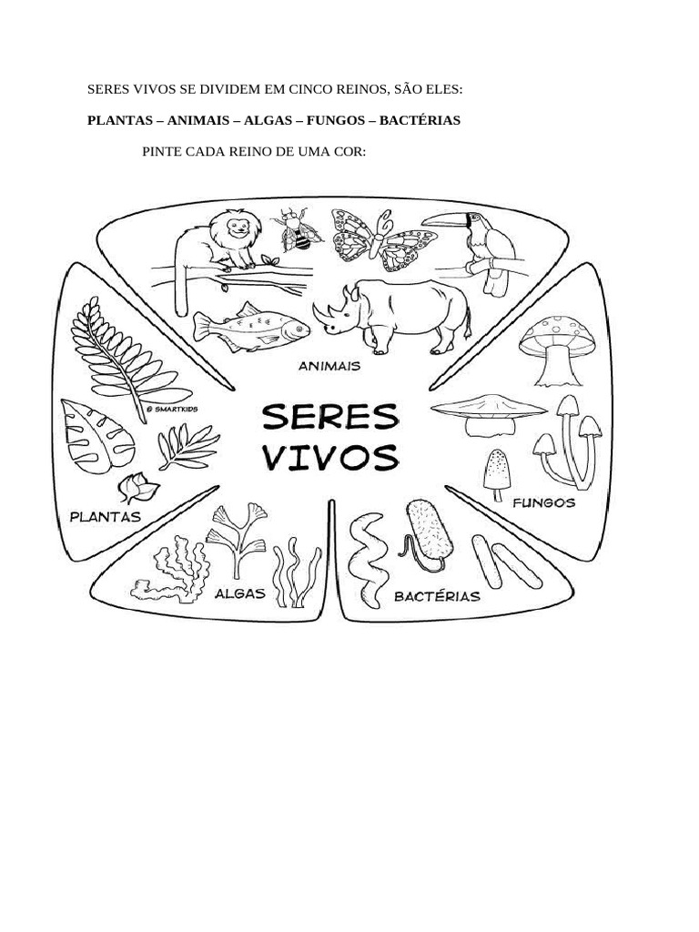 Seres Vivos Se Dividem em Cinco Reinos | PDF