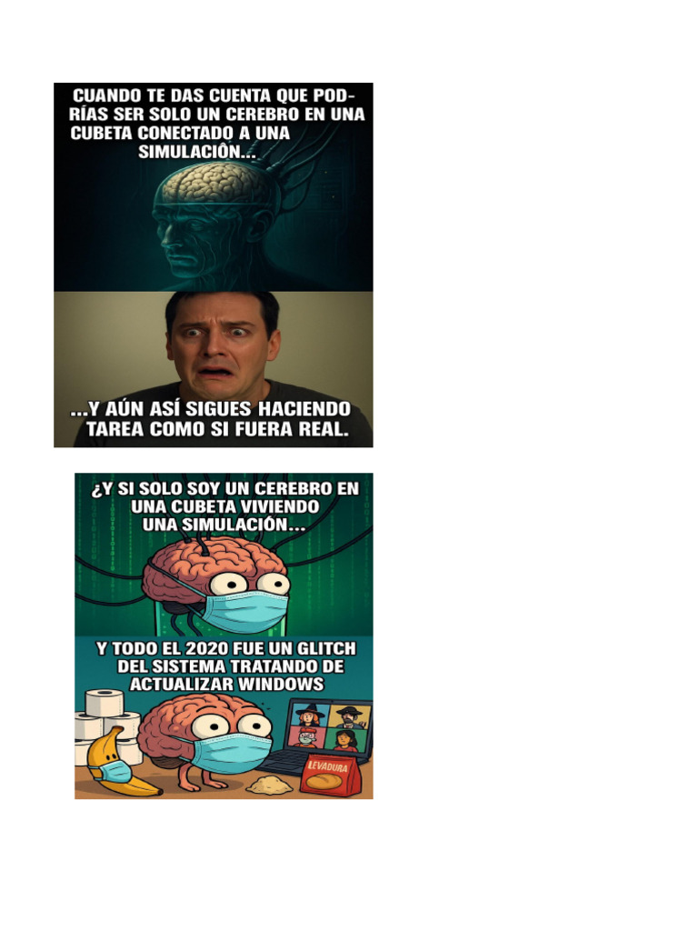 Filosofi Tarea Meme | PDF