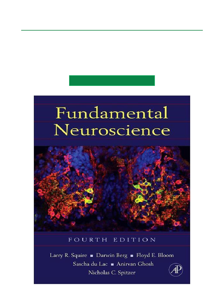 Fundamental Neuroscience 4th Edition PDF | PDF | Neuron | Synapse