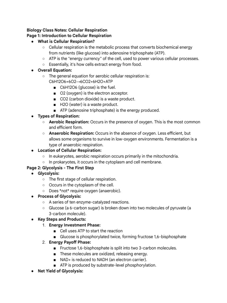 Cellular Respiration - 5-Page Biology Notes | PDF | Cellular ...