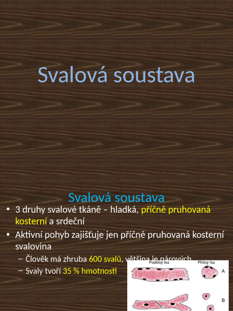 Svalov | PDF