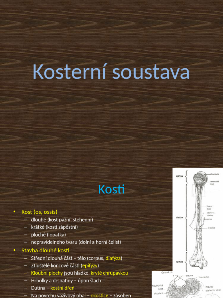 Kost | PDF