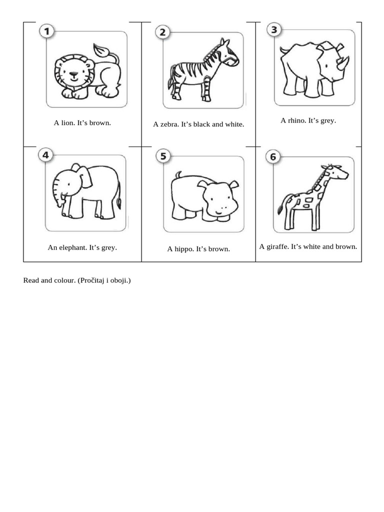 Animals and Colours | PDF