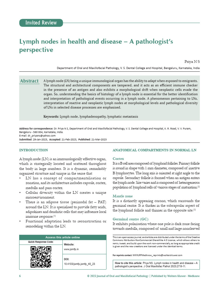 Lymph Nodes in Health and Disease - A Pathologist | PDF | Lymph Node | Lymphatic System
