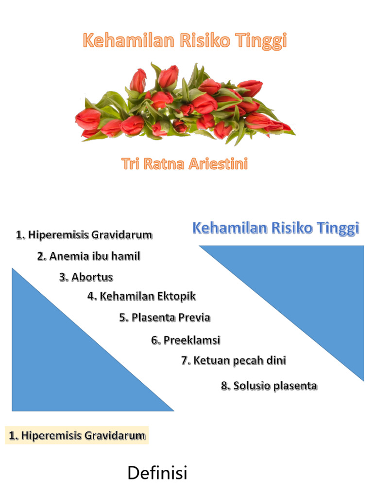 Bu Tri - KEHAMILAN RISIKO TINGGI | PDF