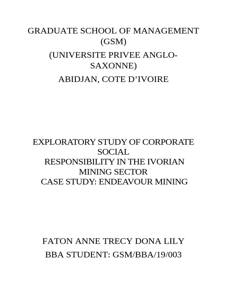 Thesis Faton Anne Tracy. Final | PDF | Corporate Social Responsibility ...