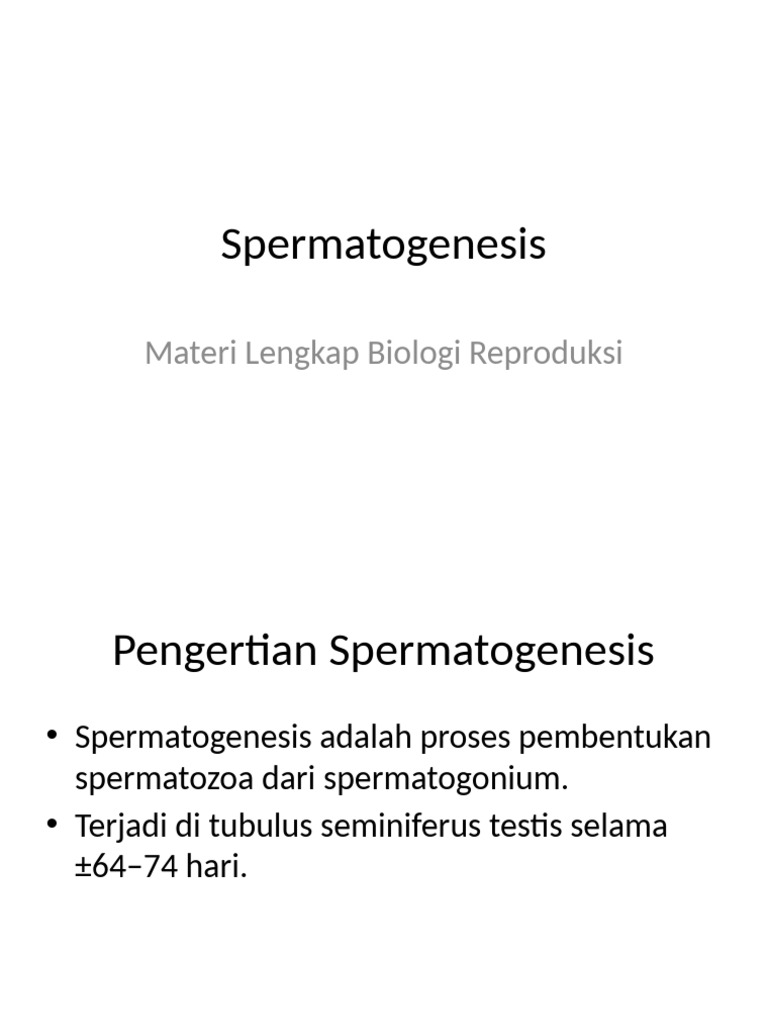 Spermatogenesis Presentation (1) | PDF