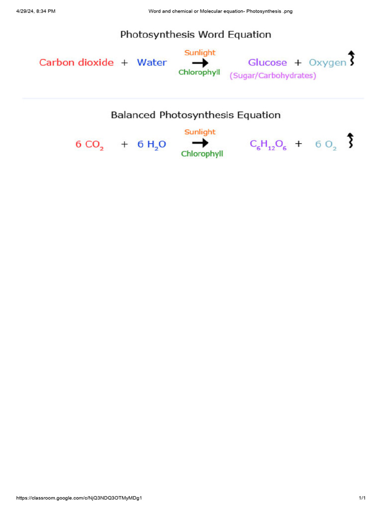 Molecular Equation of Photosynthesis | PDF