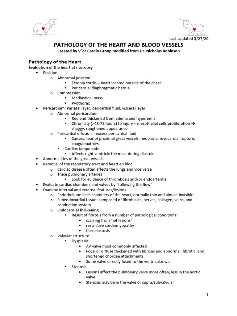 Heart and Blood Vessel Pathology Overview | PDF | Heart | Heart Valve