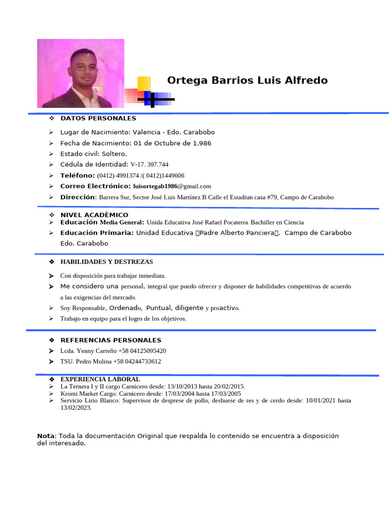 Curriculo Luis Ortega1 | PDF