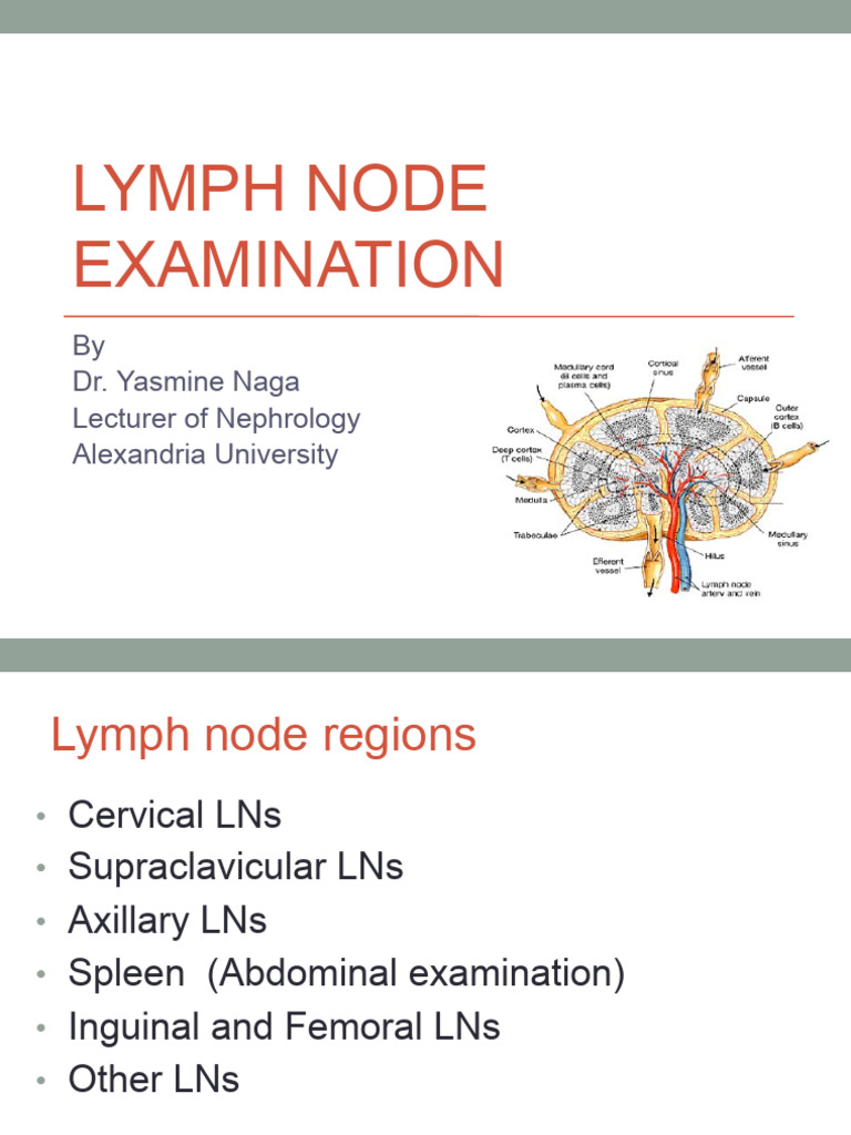 Lymph Node Examination Pdf