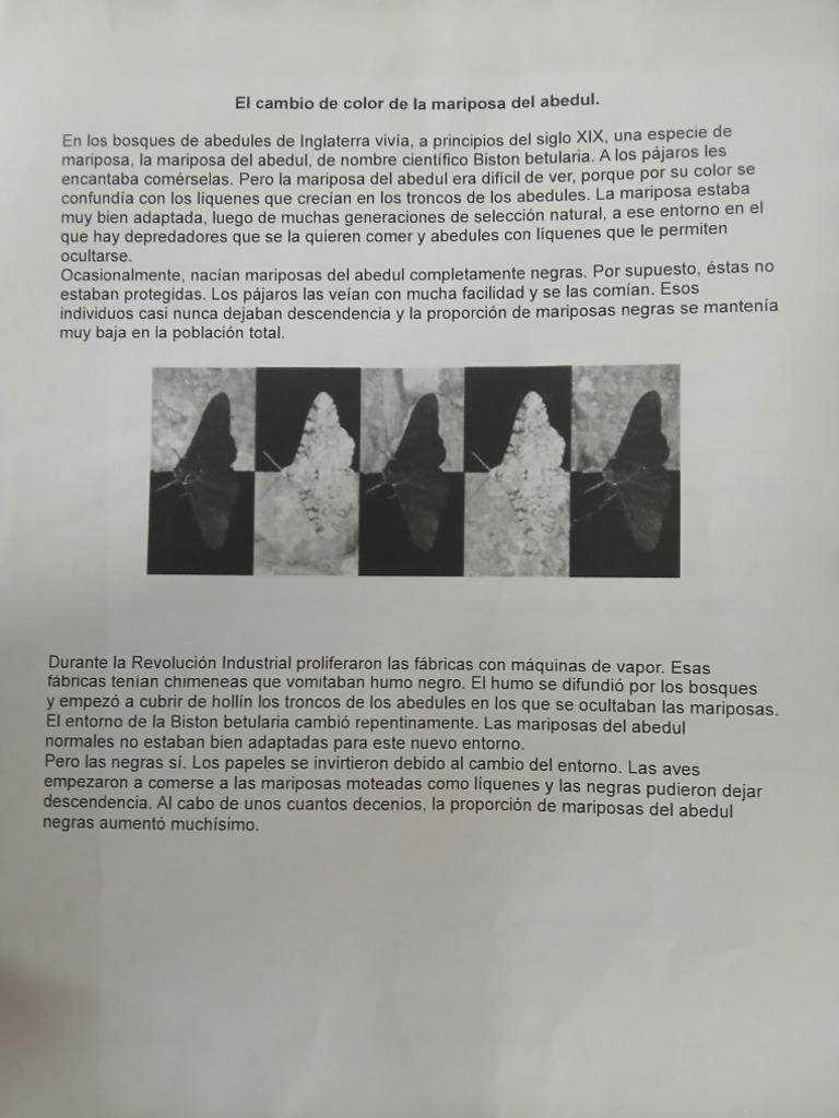 160304 | PDF